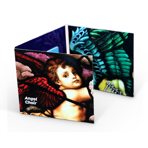 REP6U1 - 6 panel USB gatefold – Replicat - Vinyl Pressing - CD & DVD ...